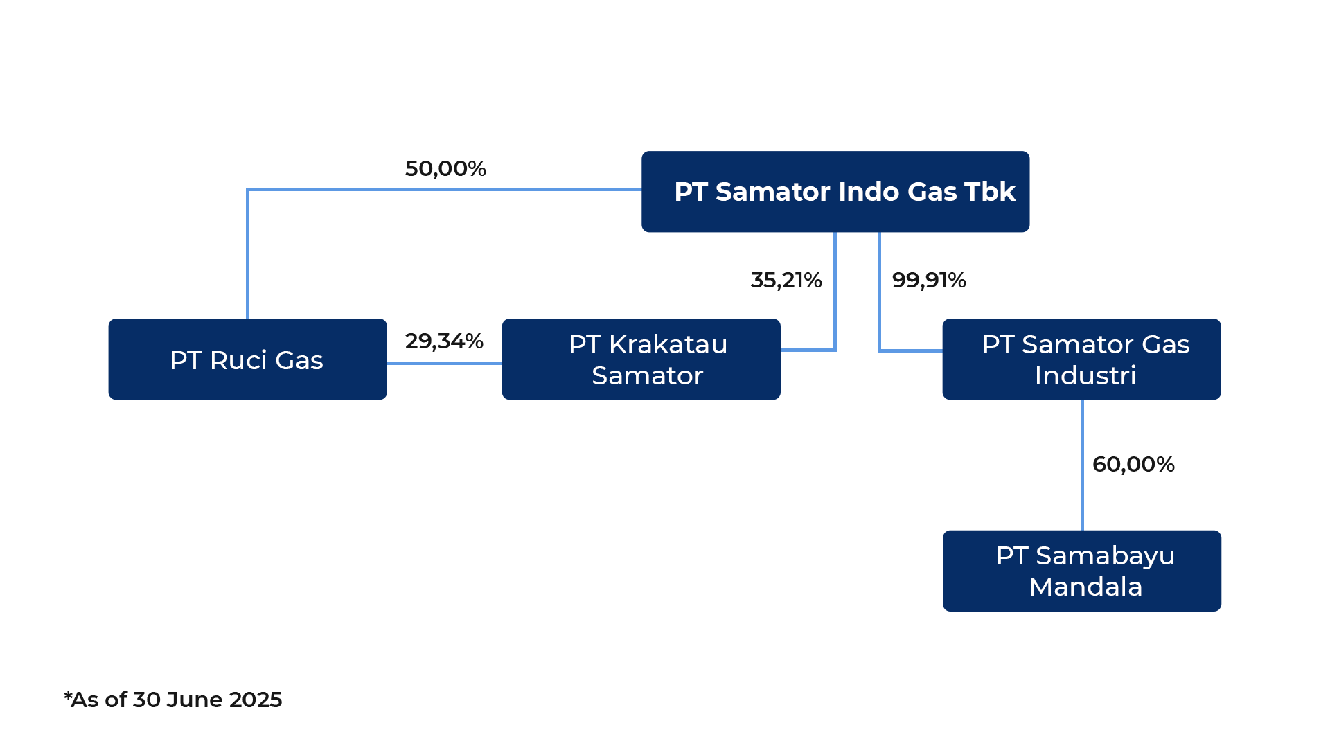 Struktur Grup | PT Samator Indo Gas Tbk